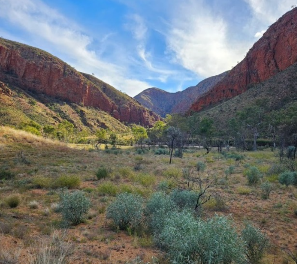 Larapinta Trail with Kids – A Family Adventure Guide